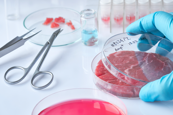 ELECTROSPUN NANOFIBERS AS SCAFFOLDS FOR MANUFACTURING CULTURED MEAT